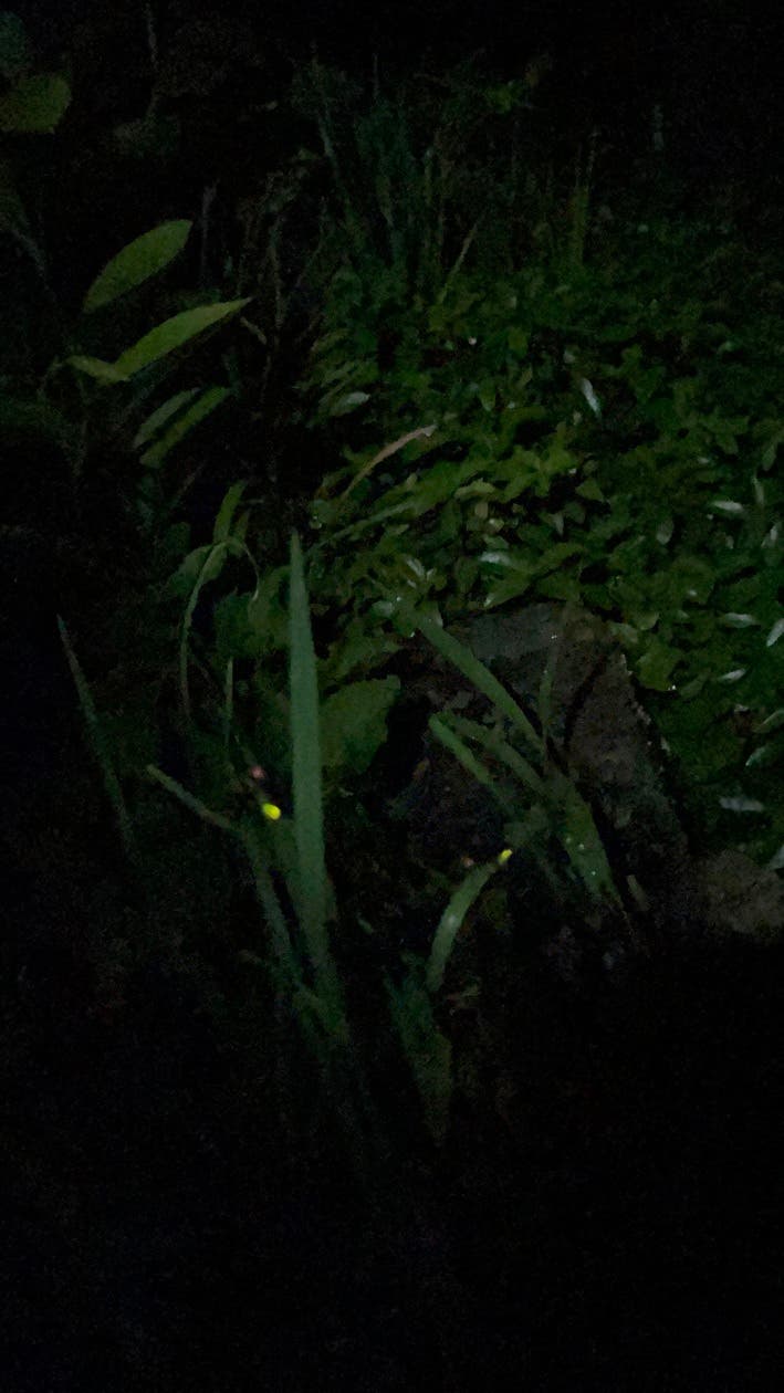 つくば市 筑波山 BBQ  ピザ窯 流しそうめんを楽しめる見晴らしの良いスペースの写真27