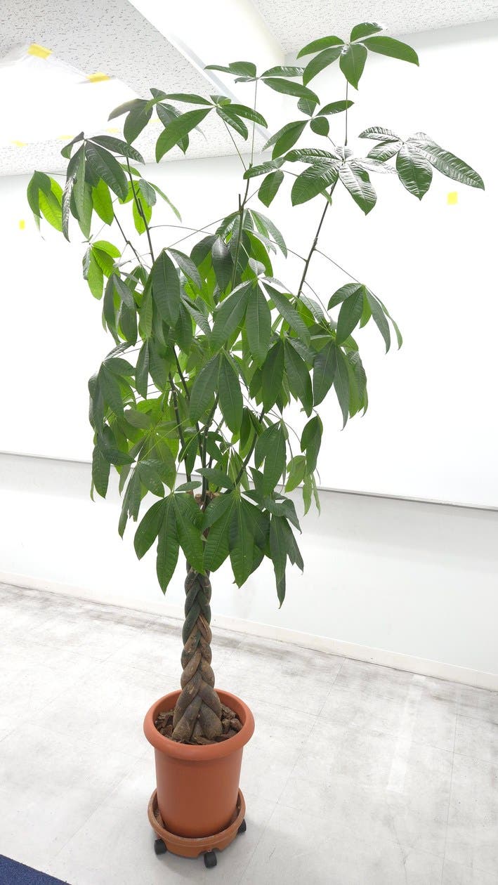 JR有楽町駅徒歩30秒｜撮影～編集まで完結｜Udemy・YouTube・インタビュー｜プロ仕様機材完備｜防音｜映像スタジオの写真12