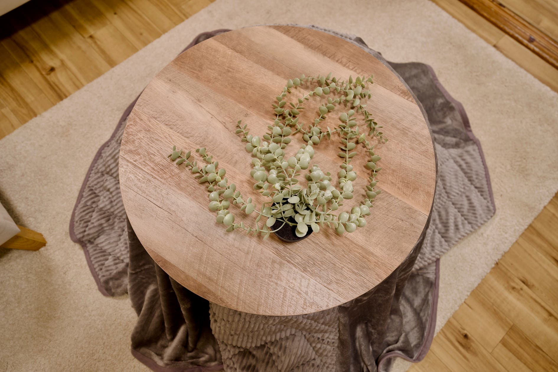 スペモ🎉クリスマス🎄歓送迎会🎊学割👨‍🎓神田1分🚶パーティ🥂プロジェクター📽️女子会💖480_lammin神田の写真10