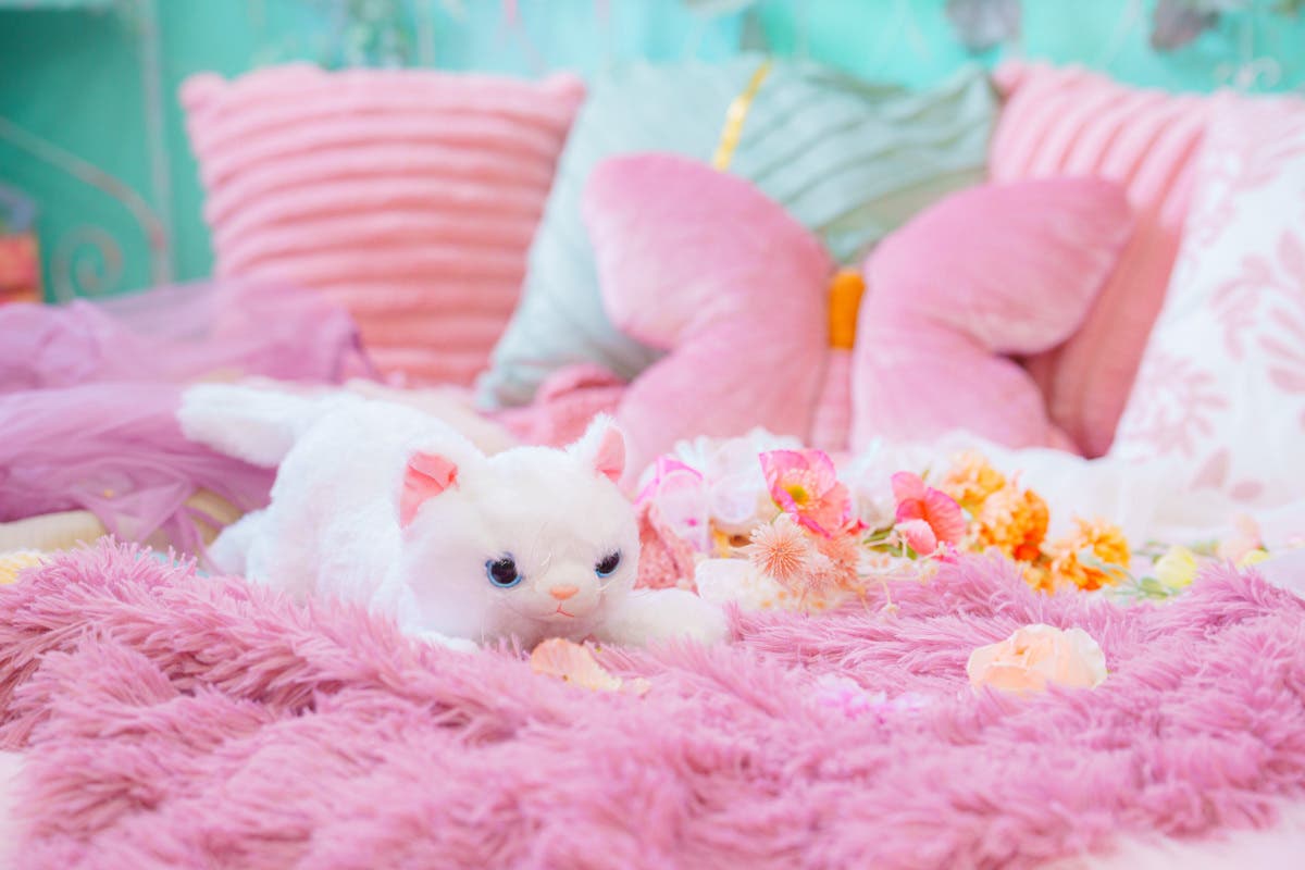 【マリースタジオ】自然光たっぷり！シャビーなハウススタジオ　コスプレ、撮影会、スチール制作など！の写真6