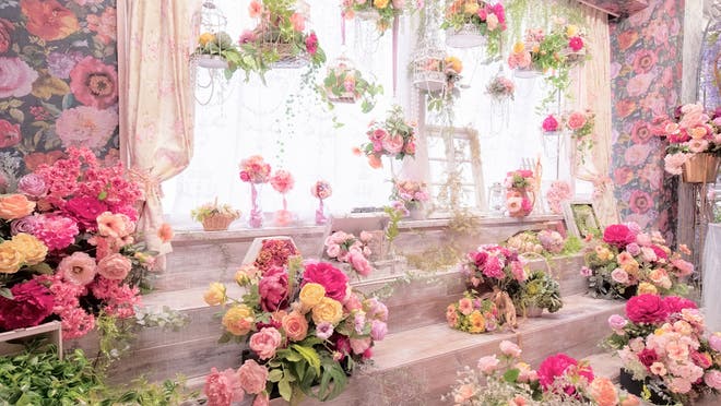 【マリースタジオ】自然光たっぷり!シャビーなハウススタジオ コスプレ、撮影会、スチール制作など!の写真14