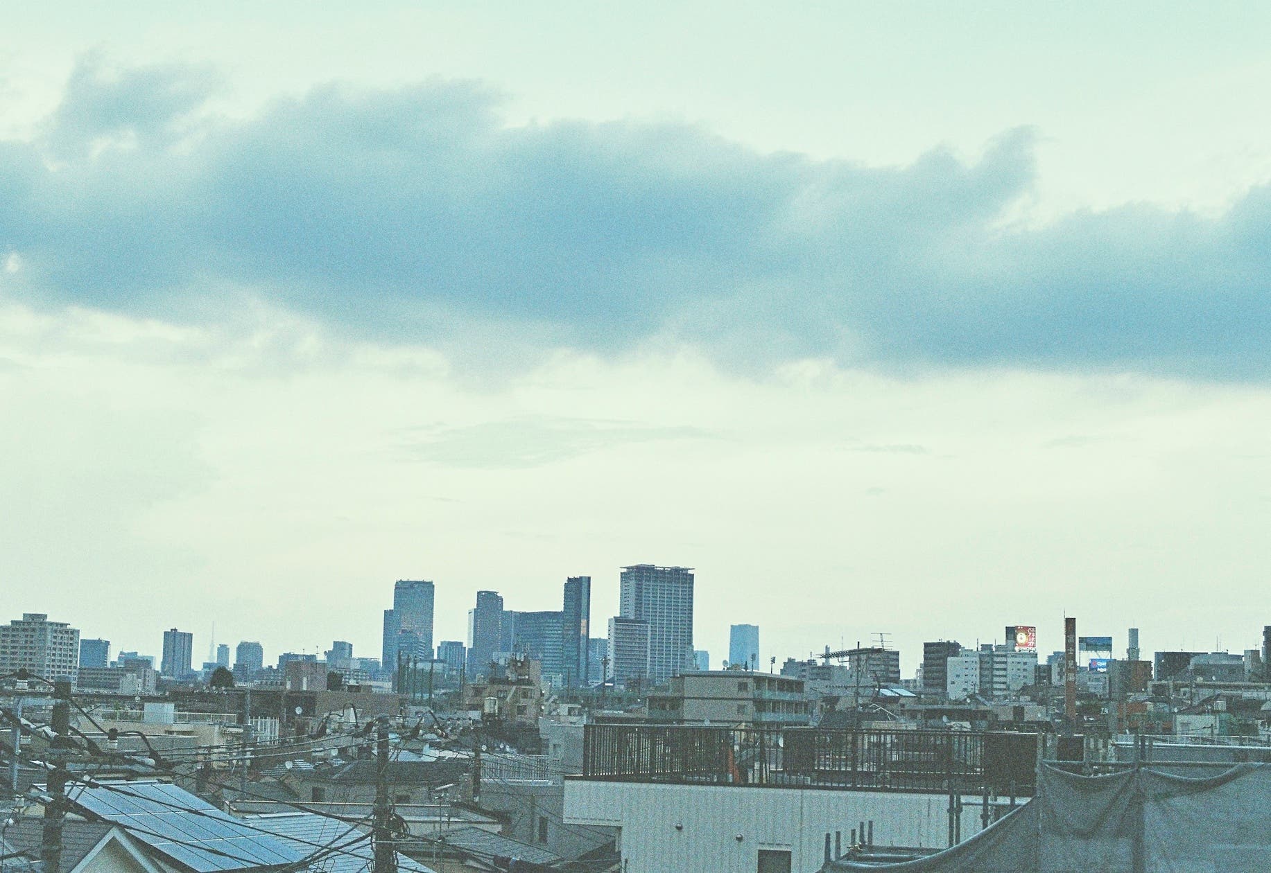 実際に人が住んでいるかのような生活感を、圧巻の植物たちが包み込むハウススタジオの写真23
