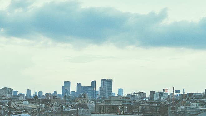 実際に人が住んでいるかのような生活感を、圧巻の植物たちが包み込むハウススタジオの写真23