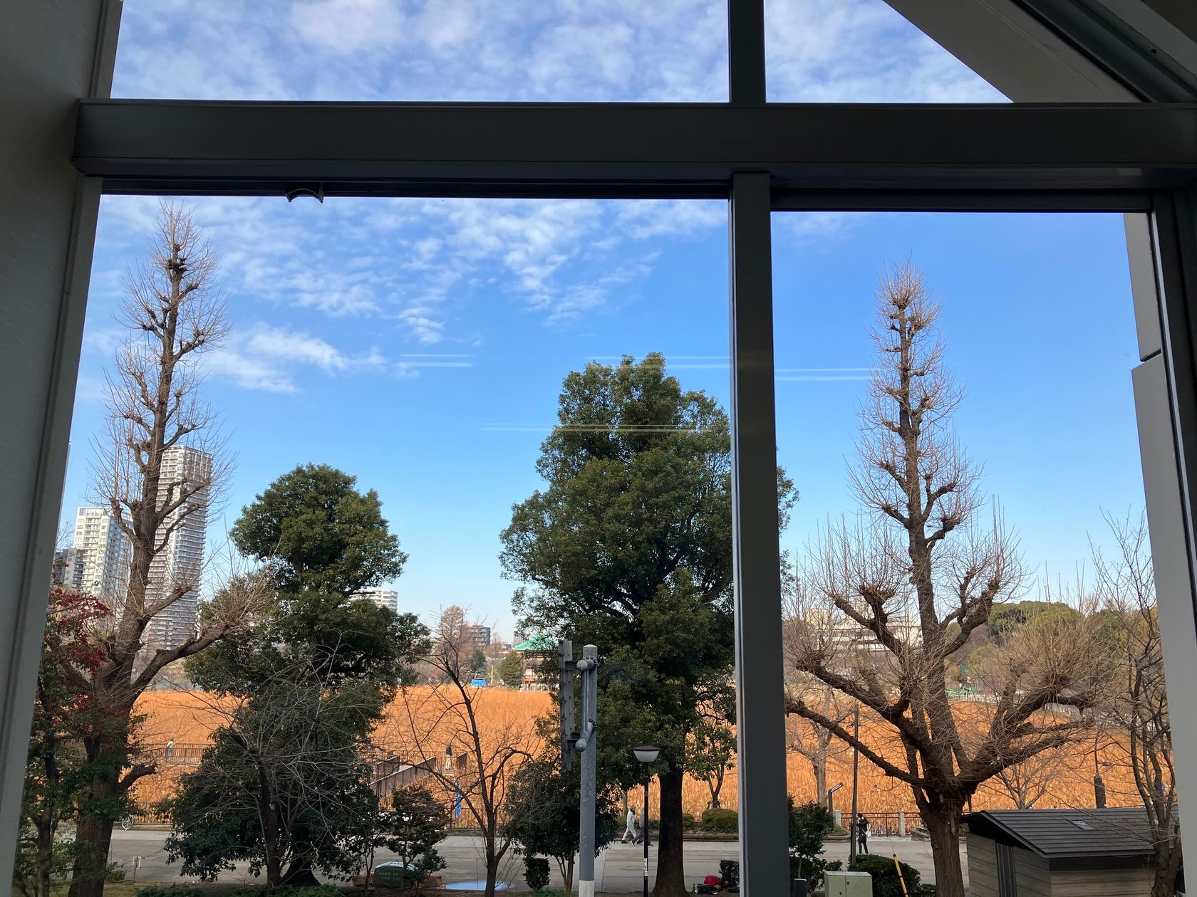 ✨駅徒歩3分✨四季に彩られる上野不忍池を見下ろす好立地の写真5