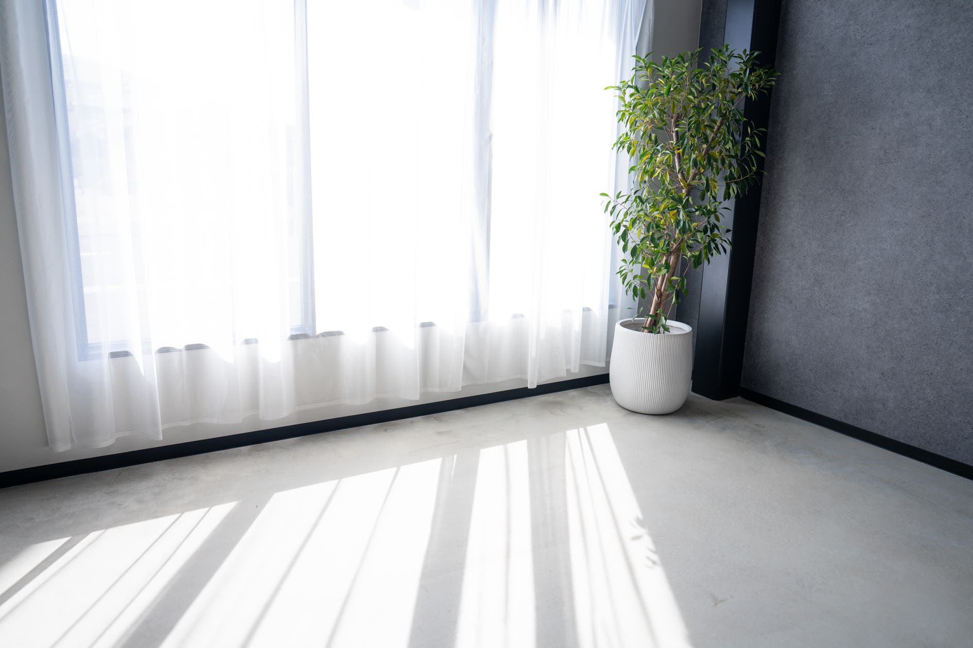 【無料駐車場付きペット可撮影スタジオ】大きな窓/自然光/モルタル調ホリゾント壁/家族写真・MV撮影・ポートレート・撮影会の写真18