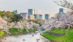 【レビュー割🌸】GOZAR九段下 KURO8F|九段下駅4分|会議に最適🎉の写真4