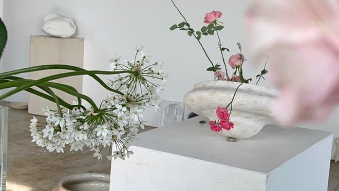 自然光が入るスペースの写真5