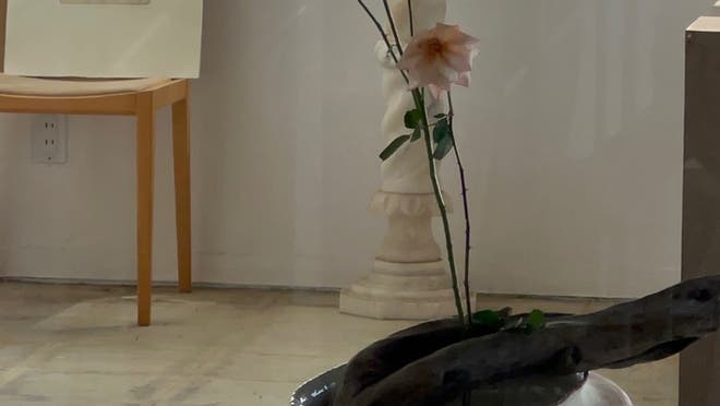 自然光が入るスペースの写真6