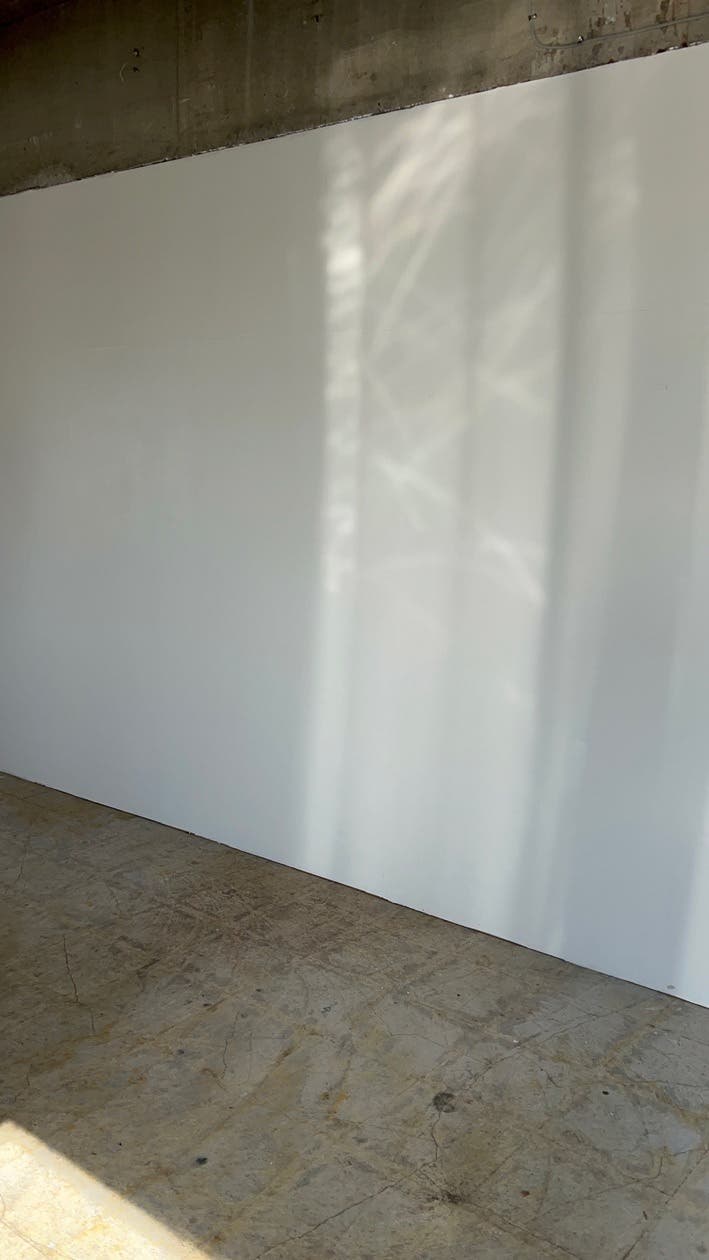 自然光が入るスペースの写真10