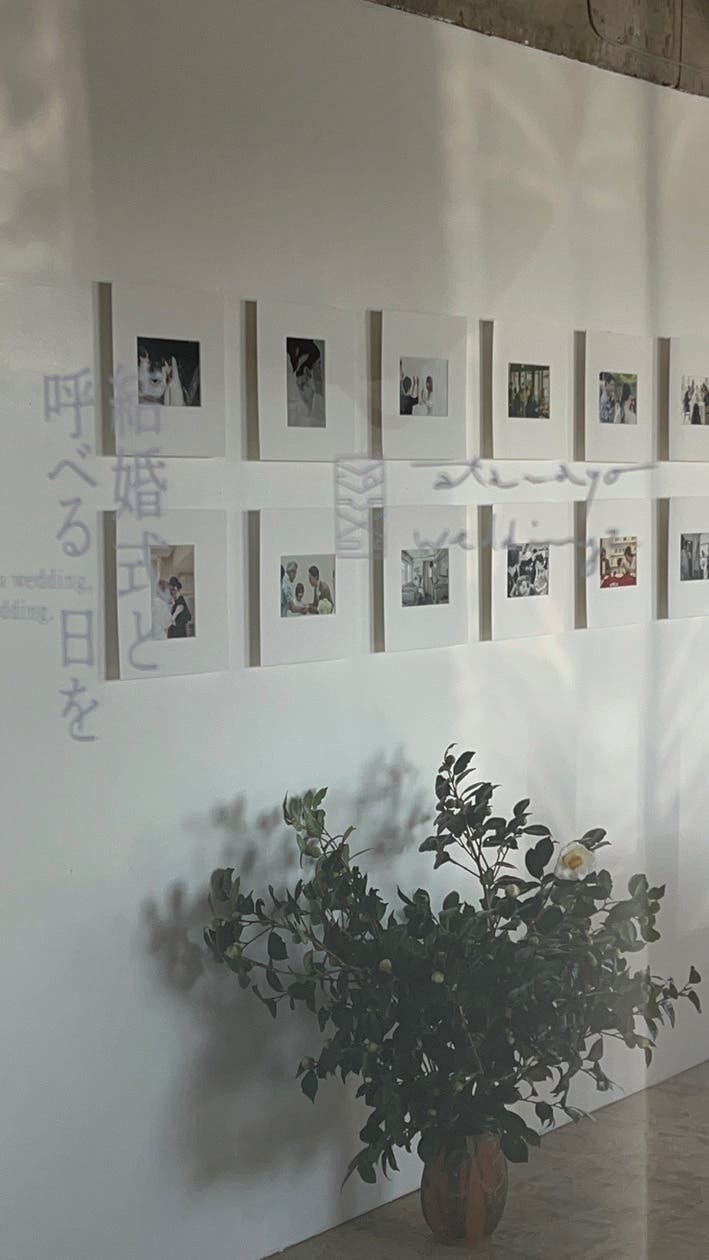 自然光が入るスペースの写真12