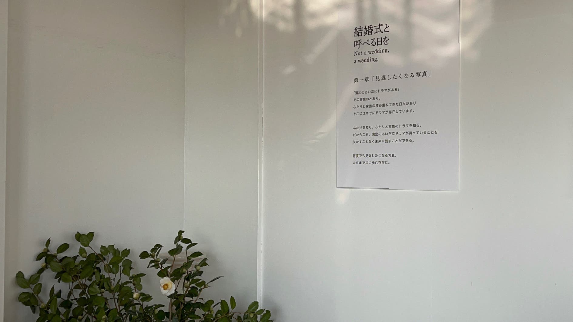 自然光が入るスペースの写真13