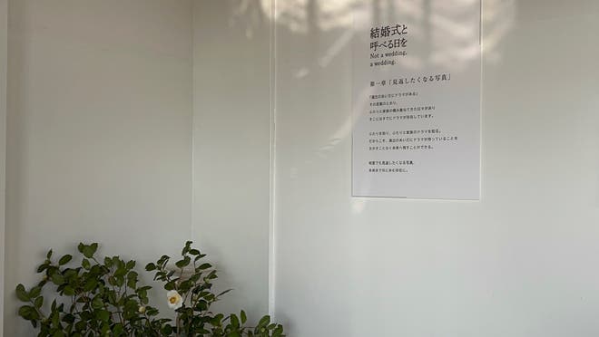 自然光が入るスペースの写真13