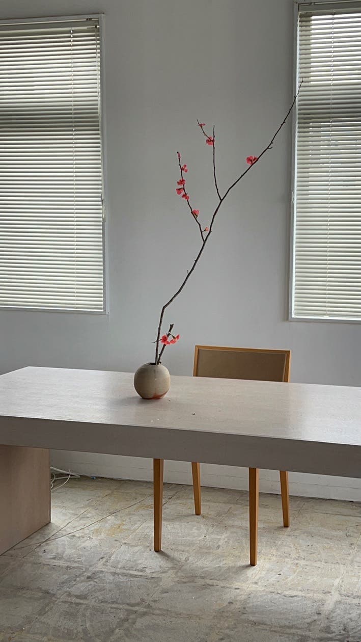 自然光が入るスペースの写真14