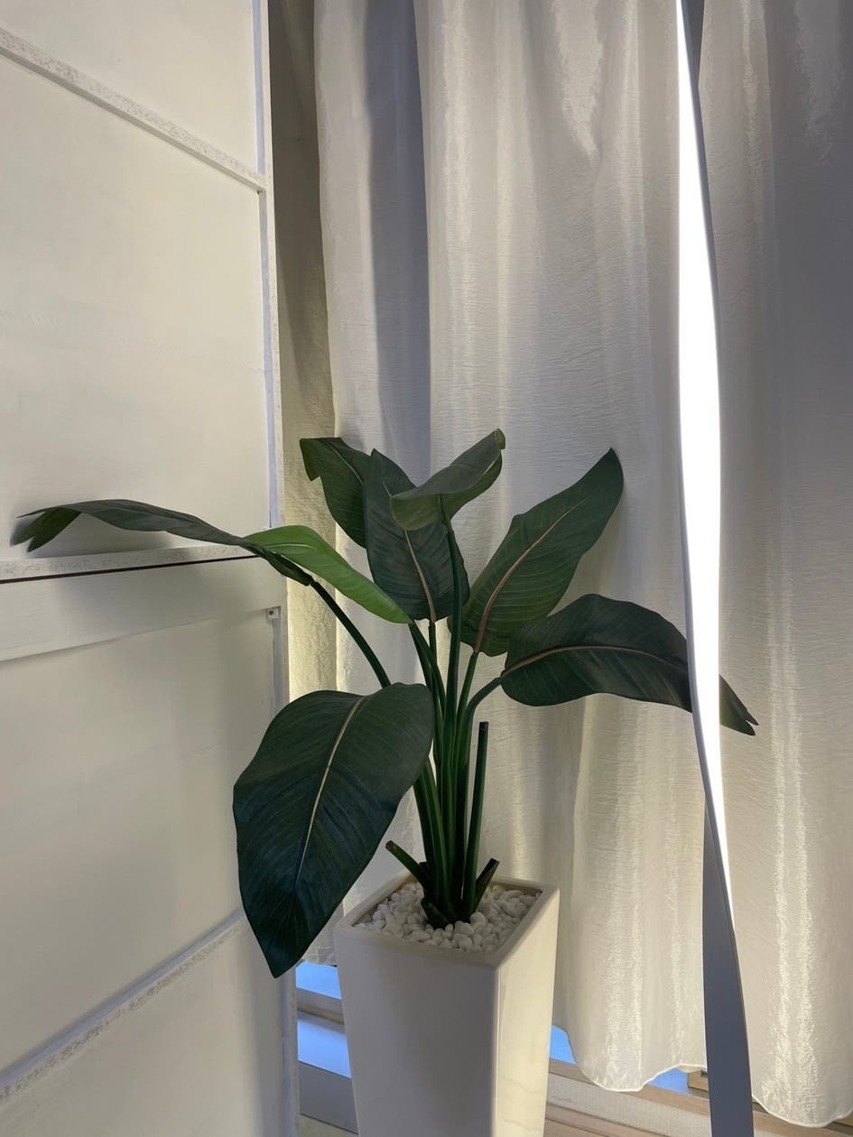 【渋谷駅 徒歩6分】プライベートサロン🍃エステ・美容🌟マッサージ・整体🪞カウンセリング・セミナー😊ヘッドスパ💆‍♀️の写真19