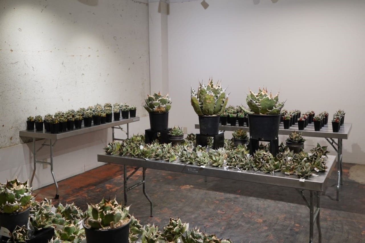 【心斎橋駅3分】人気の南船場4丁目！展示会やポップアップストアに最適の写真24