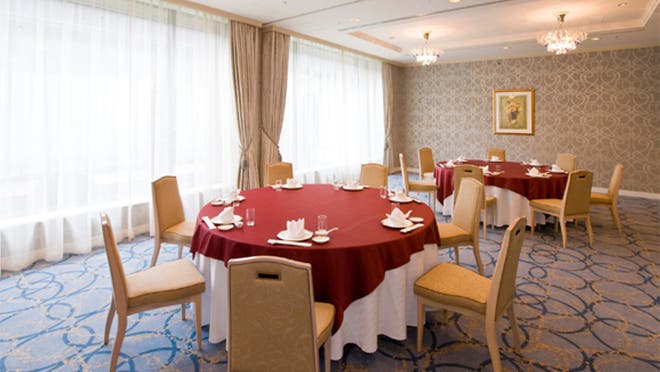 【オークラ千葉ホテル】コスモスの写真1