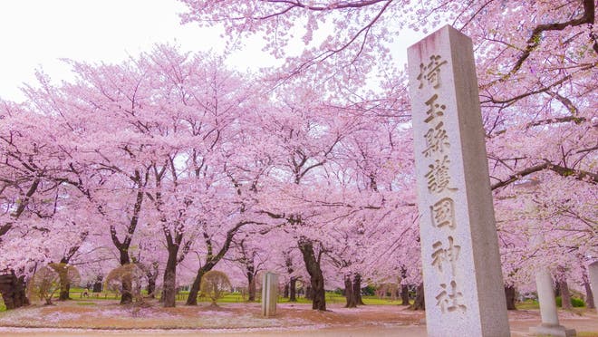 今だけ🈹半額3H以上で1000円引き🉐大宮駅🚶デート🫶VOD見放題🎬誕生日会🍰大人気ゲーム🎮v🤍の写真3