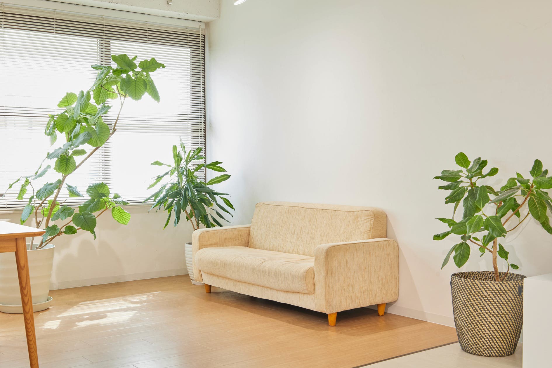 メイクブース、シャンプー台完備で、美容関連の撮影に最適なスタジオ。白ホリゾントを備え、ヘアスタイル撮影、美容関連セミナーにお勧めの写真7