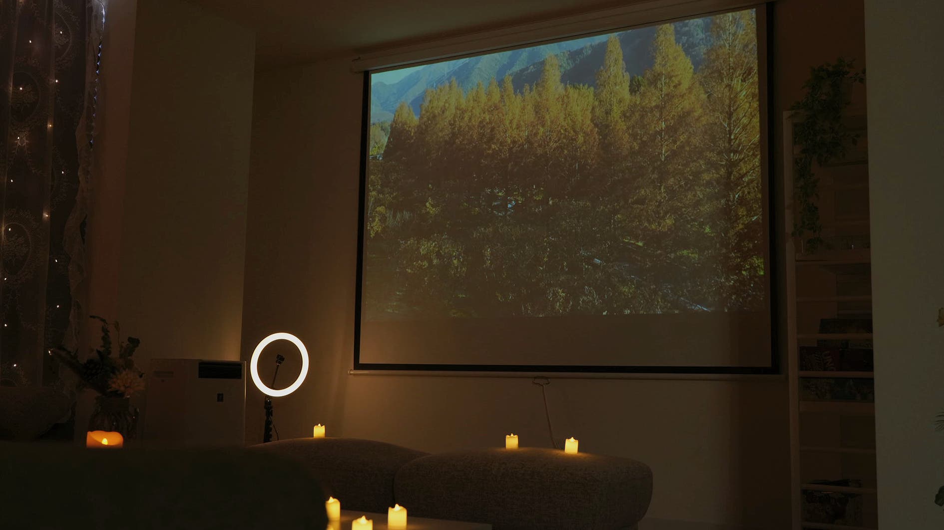 【上小田井】🍻忘年会に人気！ママ会･クリスマスパーティ🎄にも◎広々40名貸切×100㌅スクリーン📽／24時間利用OKの写真11