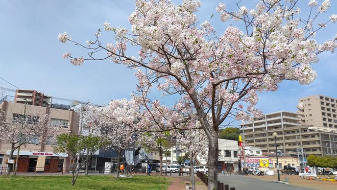 眺望抜群のコーワーキング・スペース(リモートワークなど)フリースペースの写真2