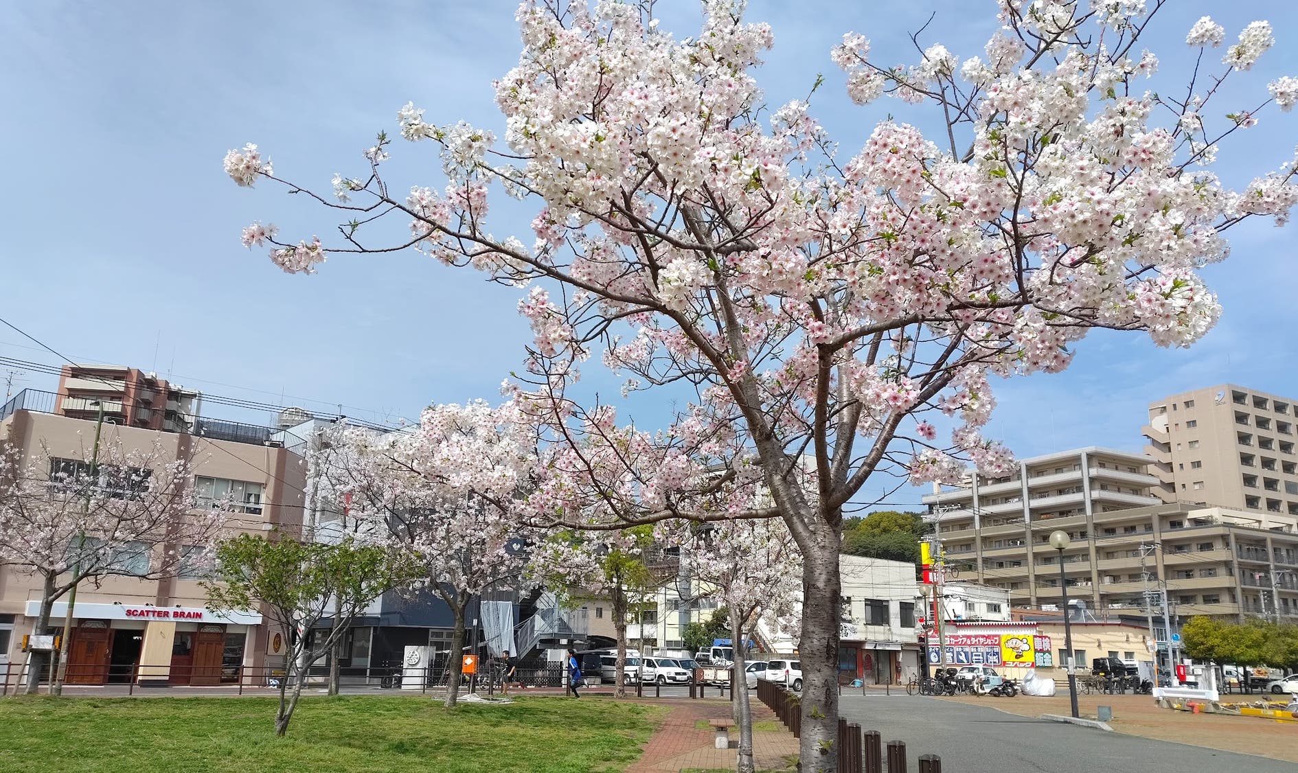 BARカウンターとフリースペースまるまる貸切プラン⚓️福岡市中央区港の写真3