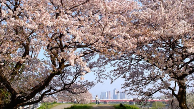 ✨🎄クリスマス装飾中🎄✨二子玉川駅5分|個室・撮影・会議・パーティー🎄に最適な多目的スペース🎉バルコニー&屋上つき!の写真30