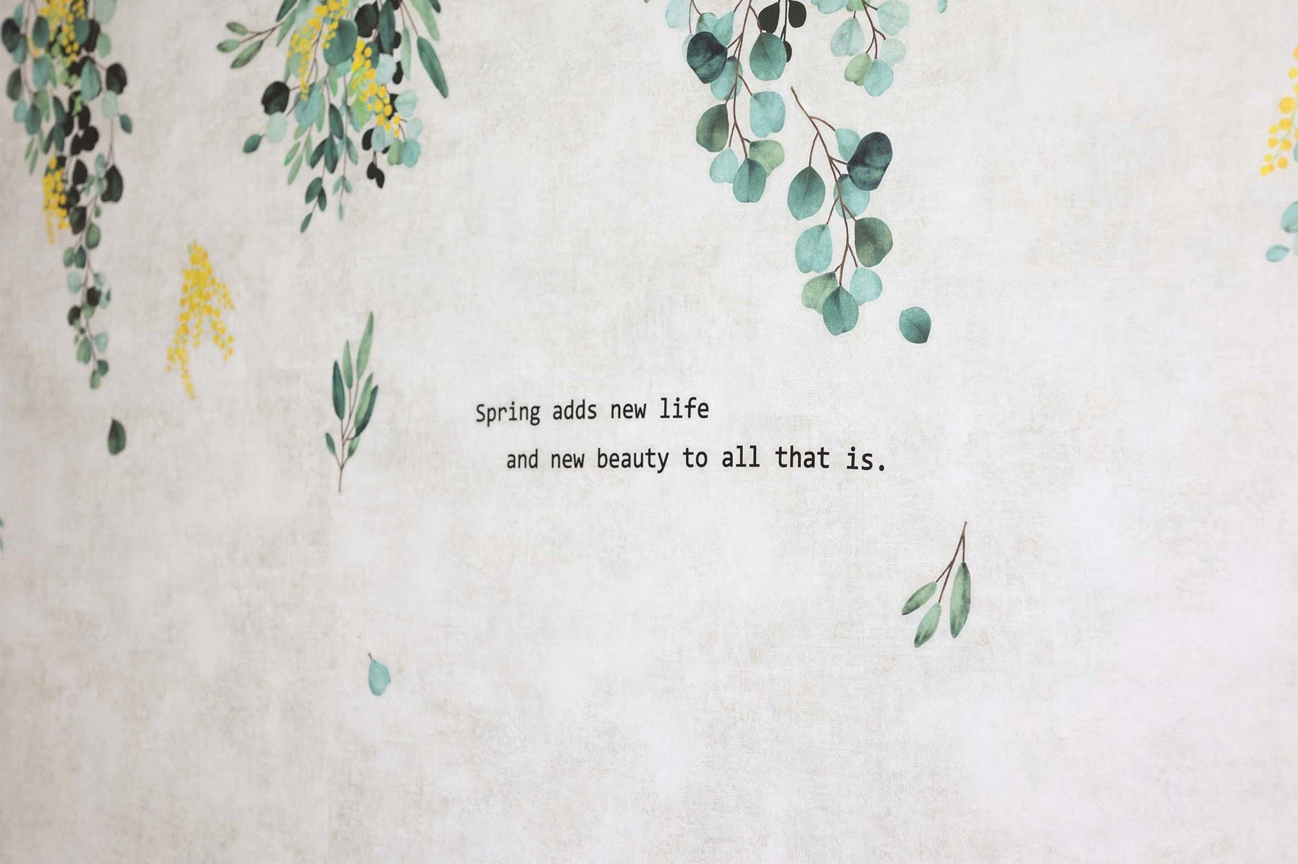 セレコレ🌳クリスマス☃️最大18名🉐ドンキ5分🐧ゲーム🎮女子会💗推し活🌟撮影📷パーティ🥂飲み会🍻whity渋谷の写真21