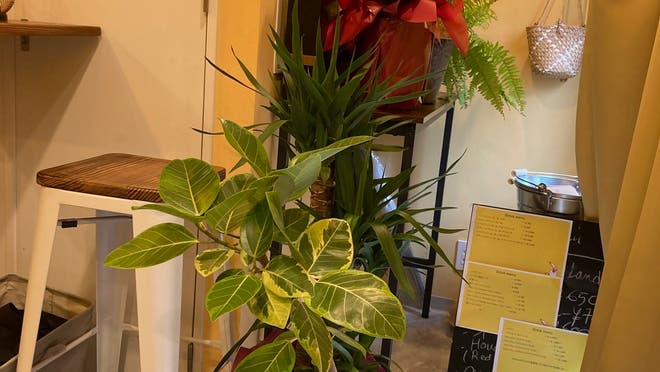 都立大学駅から徒歩3分のラテン酒場の写真3