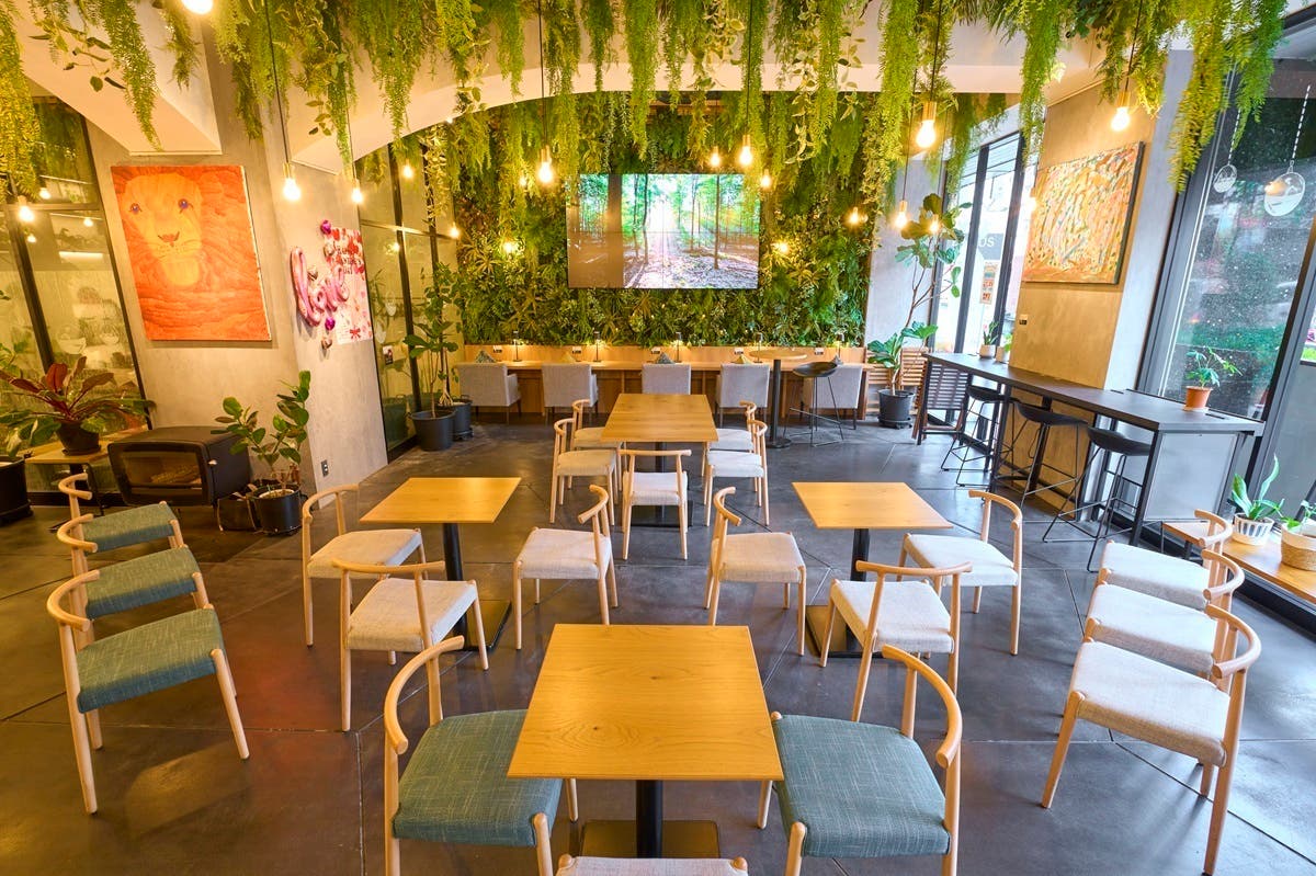 【銀座駅徒歩３分】カフェ併設の緑あふれるラウンジ🌿ワイドスクリーン◎ 会議・講座・説明会👩‍🏫 Wi‑Fi＆電源完備🔌の写真5