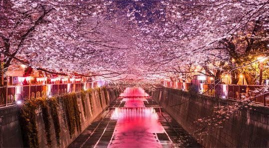 目黒川の桜まで徒歩30秒！テレビドラマ【テラスハウス】のロケ地 stove 中目黒駅から徒歩3分 貸切  レンタルスペース