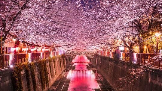 目黒川の桜まで徒歩30秒!テレビドラマ【テラスハウス】のロケ地 stove 中目黒駅から徒歩3分 貸切 レンタルスペースの写真1