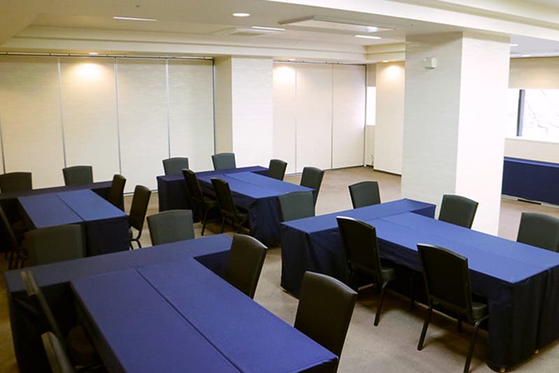 【TKPガーデンシティ アパホテル札幌大通駅前南】サファイヤ（半スパン）の写真3