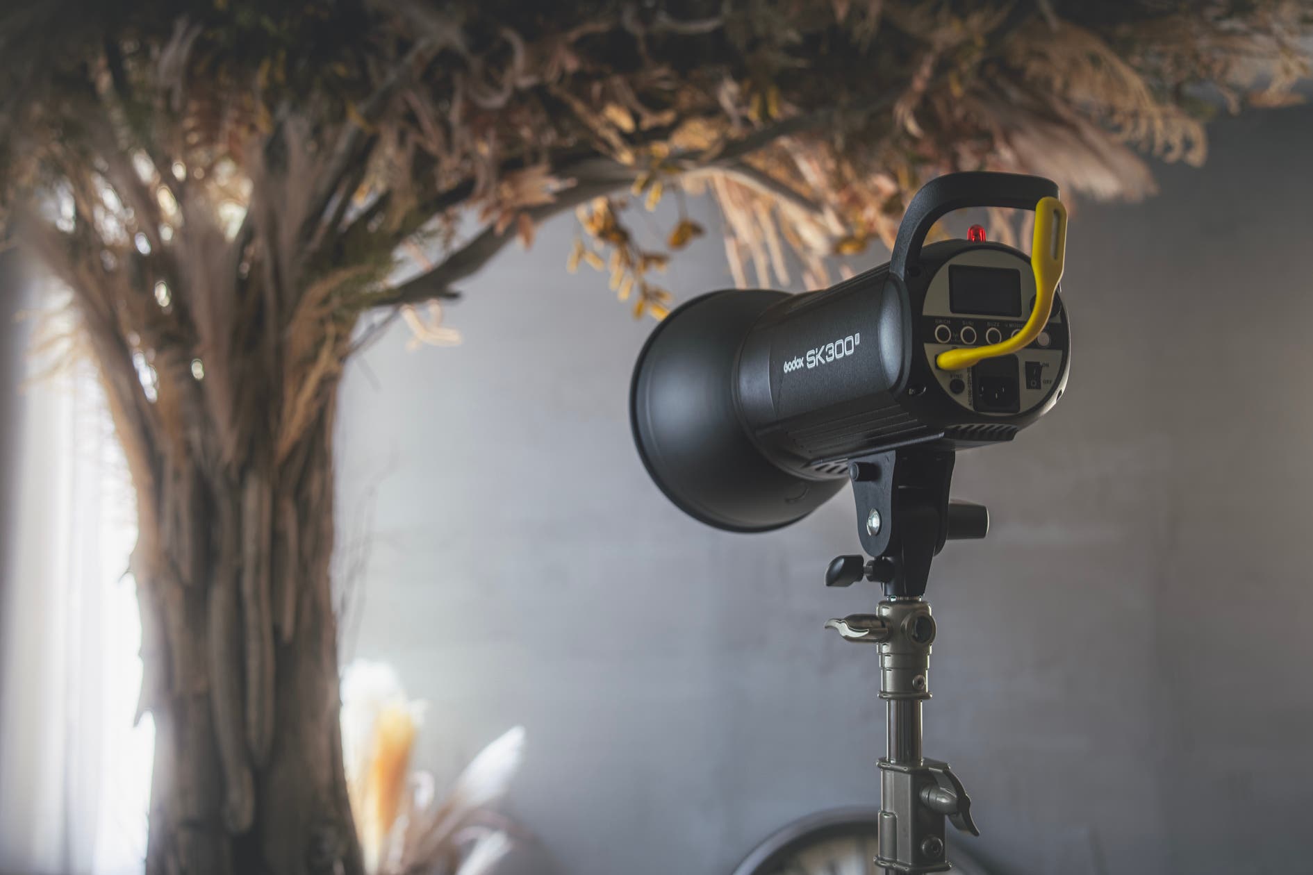 スペモ📷クリスマス🎄撮影・収録🥮コスプレ👗MV🎬️ポートレート💫撮影.605_SpemoSTUDIO押上の写真22