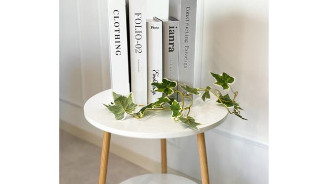 【04💐JR船橋駅北口3分すぐ/撮影スタジオ 】モール壁&採光有・小物無料・ 配信|ポートレート|コスプレに最適の写真29