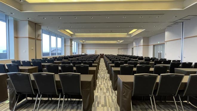 【TKPガーデンシティ大阪OAPタワー】マリーゴールド(全)の写真1