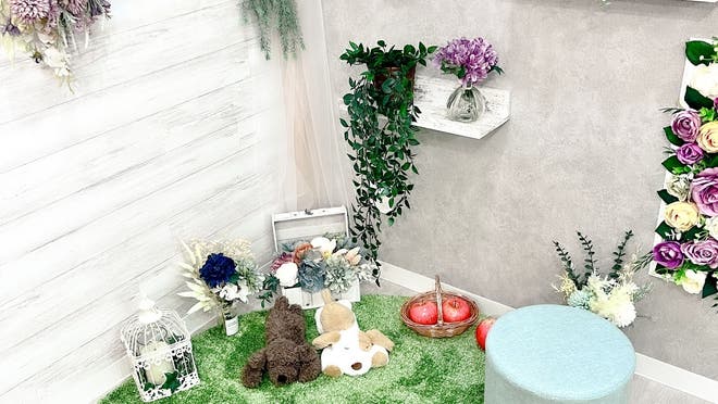 画像データ完全無料✨映える背景と衣装で思い出をもっと華やかに飾るRoomA☆誕生日|七五三|ニューボーンフォト|パーティーの写真2