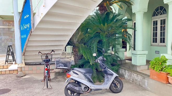 【茅ヶ崎駅 徒歩6分/】ペット撮影|グループ撮影|ウェディング|マタニティ|バースデー|PV撮影|商品撮影の写真12