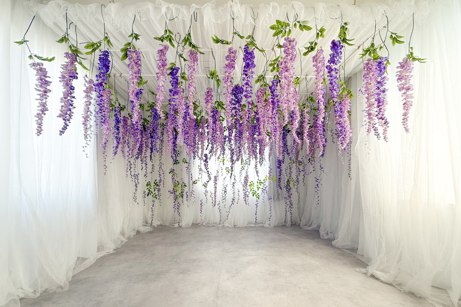 【Broom】駅から徒歩5分！天井に藤がいっぱいのお部屋｜ポートレート｜コスプレ｜推し活｜お茶会の写真4