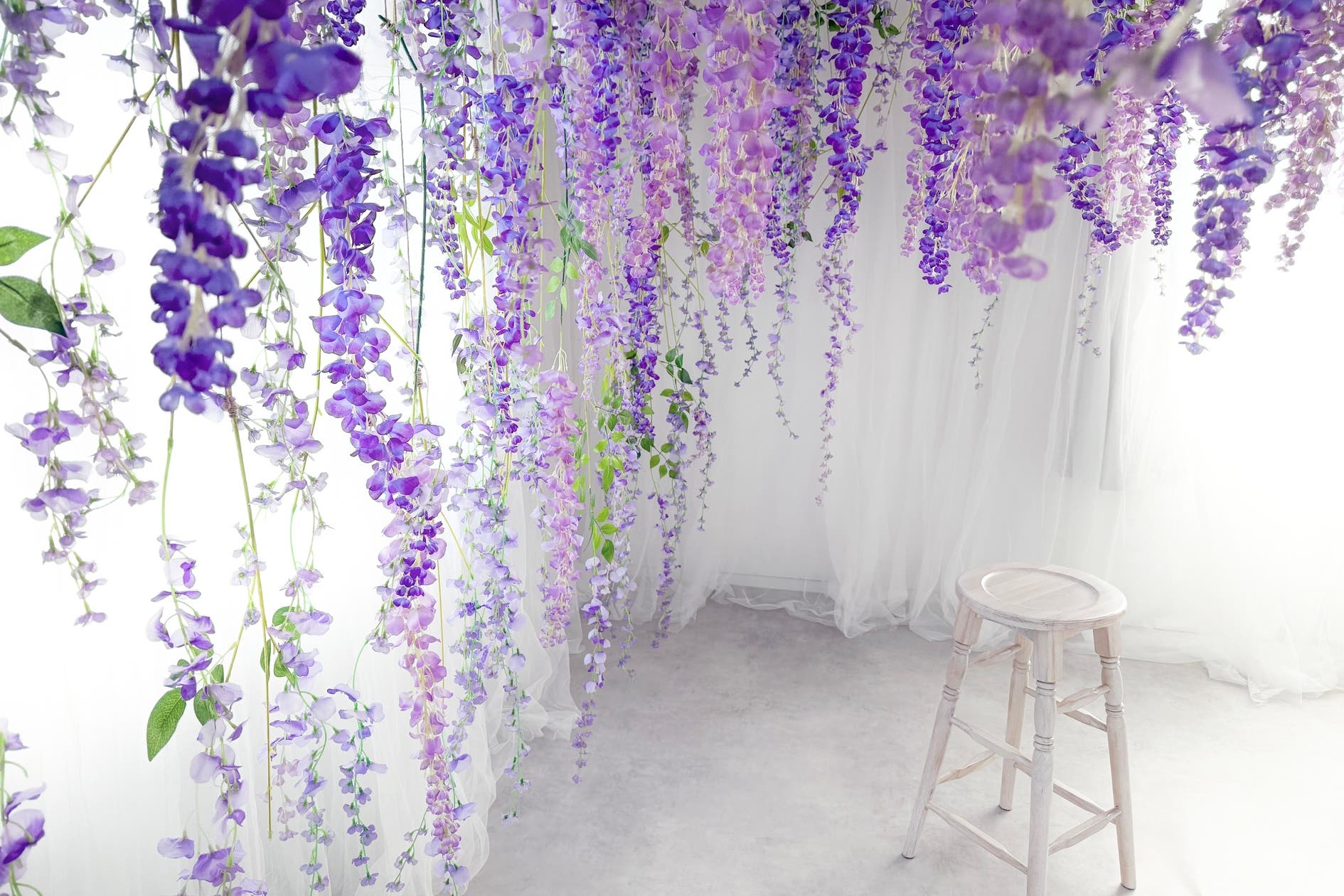 【Broom】駅から徒歩5分！天井に藤がいっぱいのお部屋｜ポートレート｜コスプレ｜推し活｜お茶会の写真6