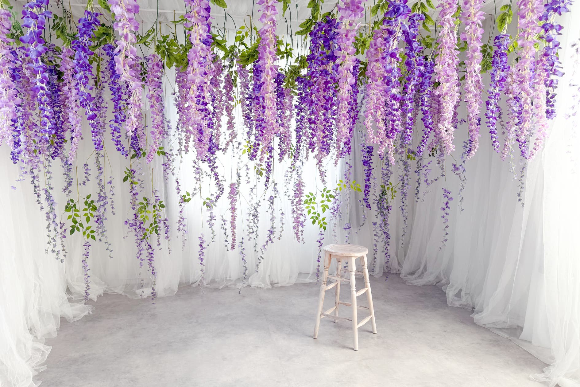 【Broom】駅から徒歩5分！天井に藤がいっぱいのお部屋｜ポートレート｜コスプレ｜推し活｜お茶会の写真5