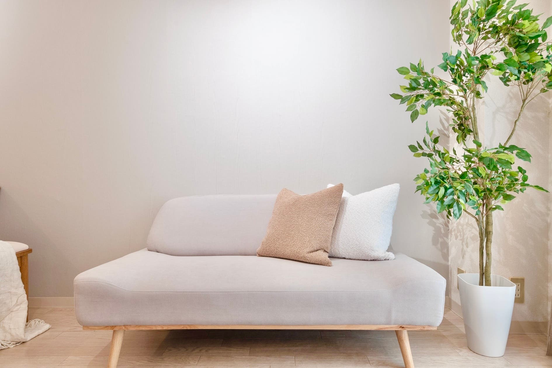 スペモ🏡クリスマス🎄【天王寺駅3分】プロジェクター🎥推し活💫女子会💖飲み会🍻デート💗681_ナチュラル天王寺の写真15