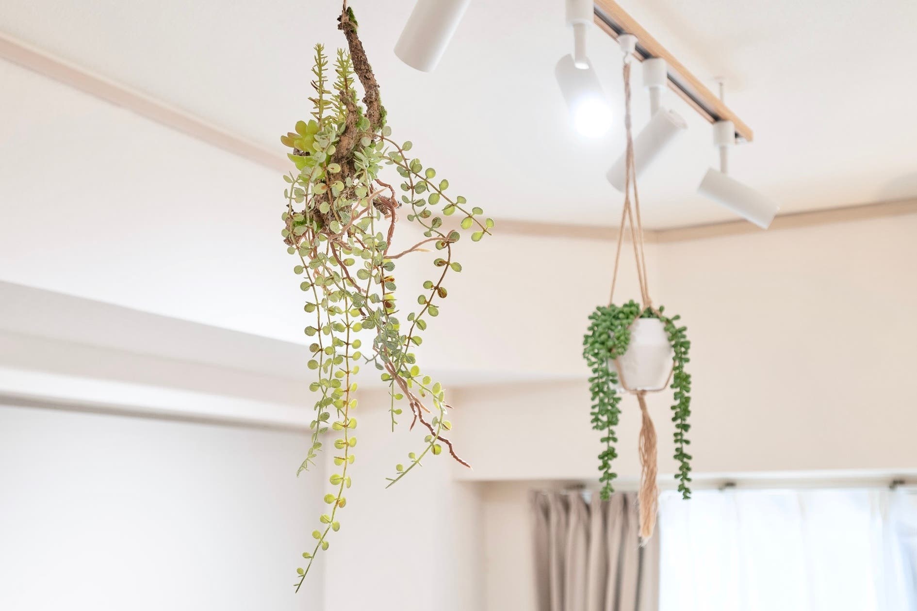 スペモ🏡クリスマス🎄【天王寺駅3分】プロジェクター🎥推し活💫女子会💖飲み会🍻デート💗681_ナチュラル天王寺の写真27