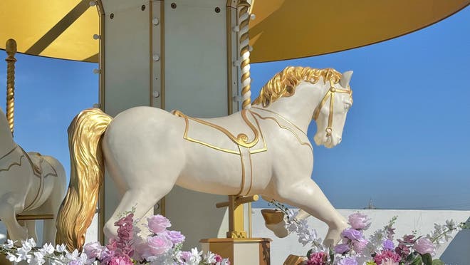 津田沼駅徒歩9分メリーゴーランドと馬車のあるスタジオの写真3