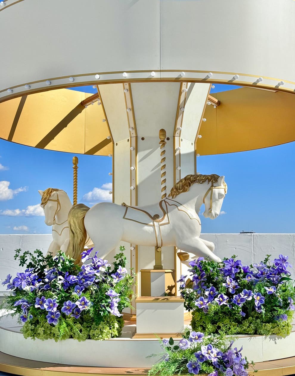 津田沼駅徒歩9分メリーゴーランドと馬車のあるスタジオの写真6