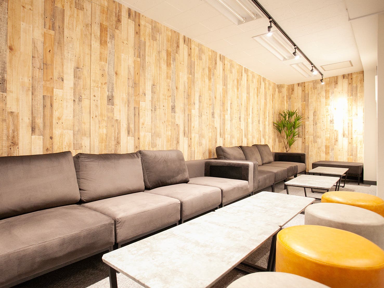 🌸2025年3月NEWOPEN✨赤坂駅2分/最大34名/光回線/ビジネス/会議/懇親会/撮影/ボドゲ/セミナーにも最適の写真5