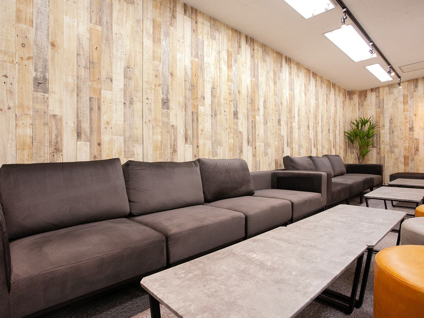 🌸2025年3月NEWOPEN✨赤坂駅2分/最大34名/光回線/ビジネス/会議/懇親会/撮影/ボドゲ/セミナーにも最適の写真6