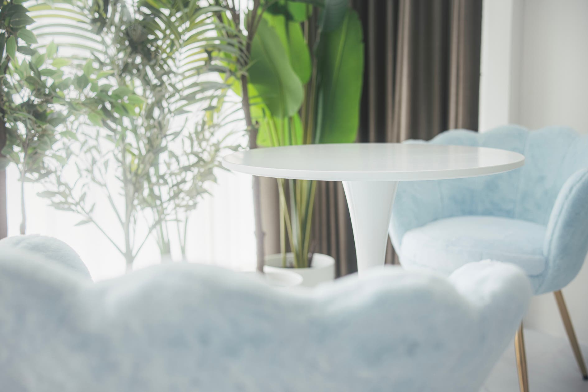 スペモ📷️クリスマス🎄自然光☀️ポートレート🌟コスプレ👗駐車場🅿️589_studioBLANCBLANC川崎の写真4