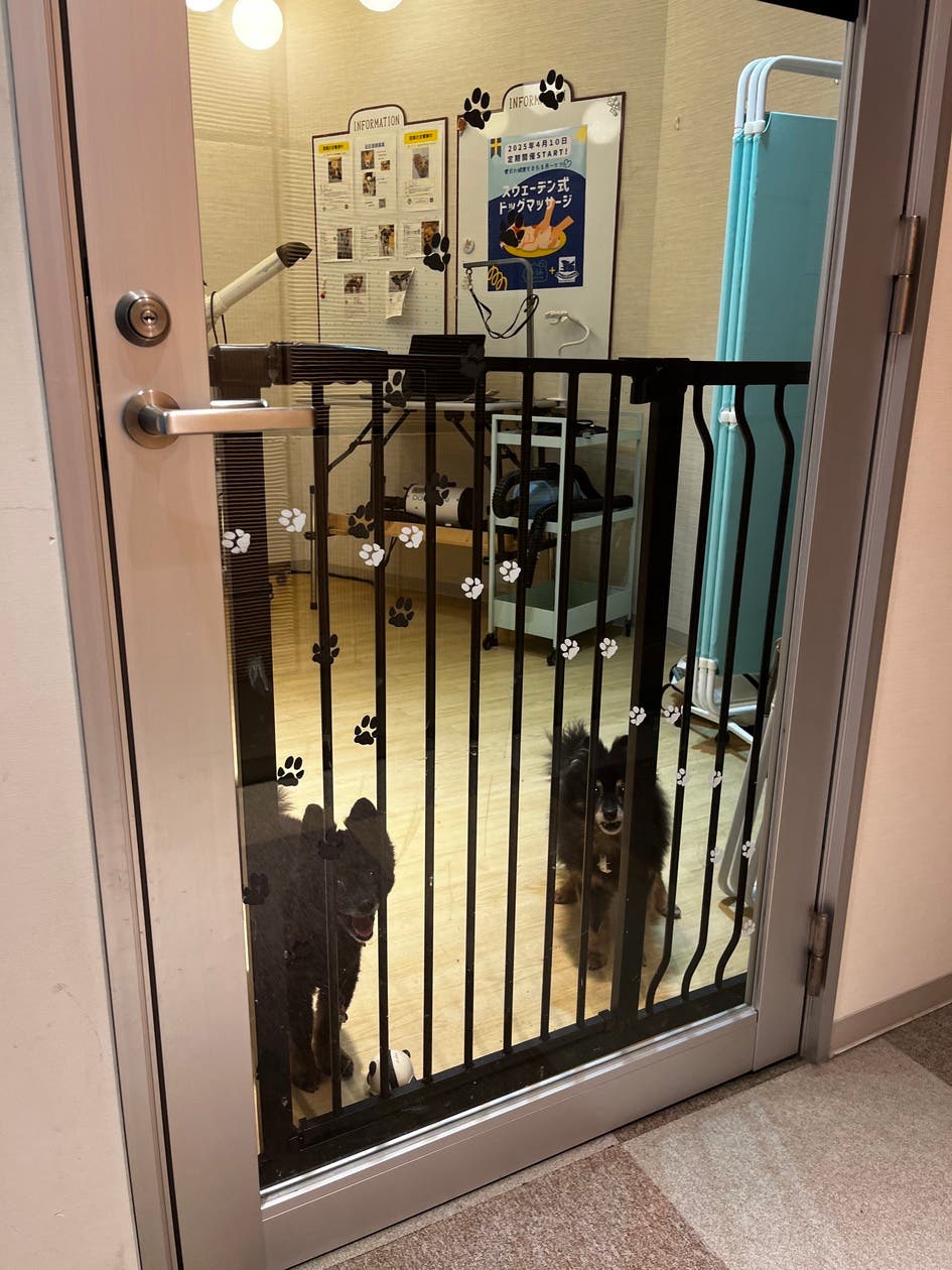 京王線若葉台駅前、駐車場直結、ペット同伴可能なフリースペースの写真5