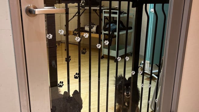 京王線若葉台駅前、駐車場直結、ペット同伴可能なフリースペースの写真5