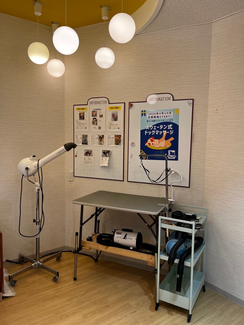 京王線若葉台駅前、駐車場直結、ペット同伴可能なフリースペースの写真6